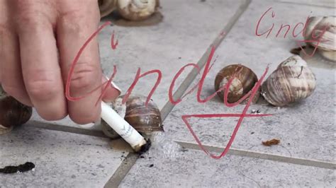 Buffalo Snail Crush Xxl Youtube