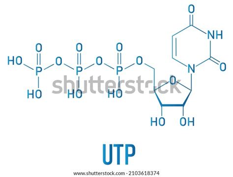 Uridine Triphosphate Utp Nucleotide Molecule Building Stock Vector Royalty Free 2103618374