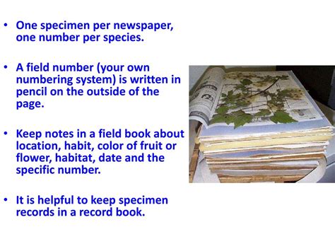 Herbaria Libraries Of Dried Pressed And Or Liquid Preserved Plants Algae And Fungi