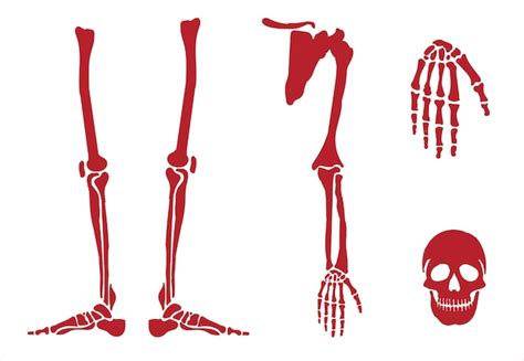 인간의 골격 시스템 관절과 신체 부위 뼈 아이콘은 손으로 그린 벡터 삽화를 스케치합니다 Sku 프리미엄 벡터