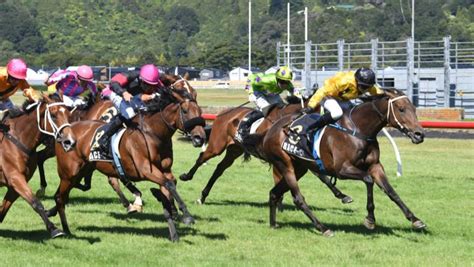 Ruby Rocks Upsets In Marton Cup