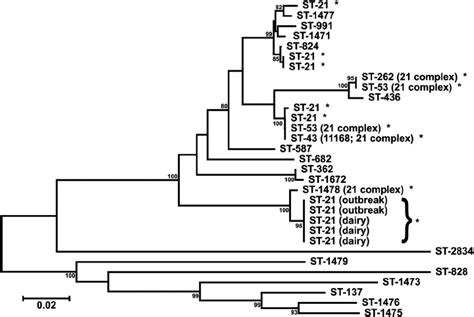 Phylogenetic Tree Comparing The Pora Sequence Of The Campylobacter Download Scientific Diagram