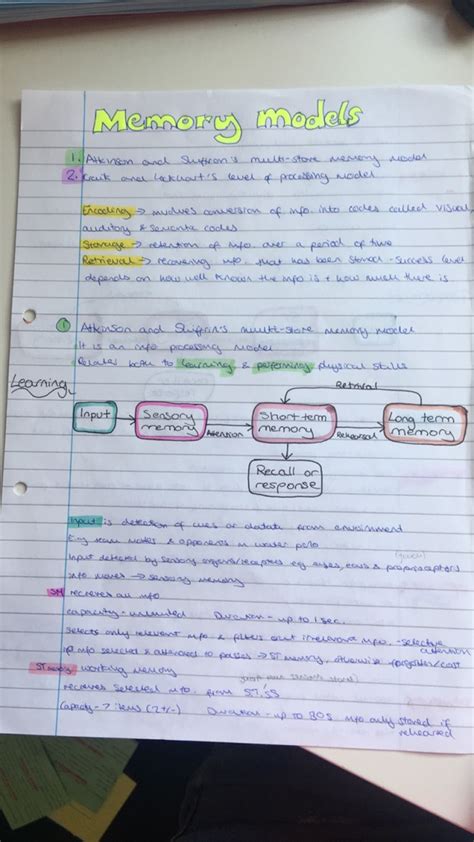 Diagram Of Memory Quizlet Diagram Of Memory Quizlet