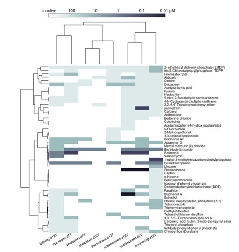 Research Systems Biology