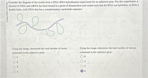 Solved Consider The Diagram Of The Results From A Dna Rna