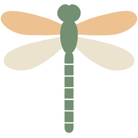 Süß Libelle Illustration 34960802 Png