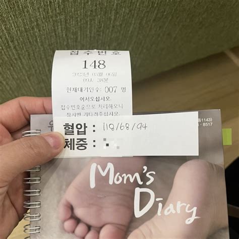 임신 28주 임산부의 증상 입체초음파 백일해가격 역아 압박스타킹처방 네이버 블로그