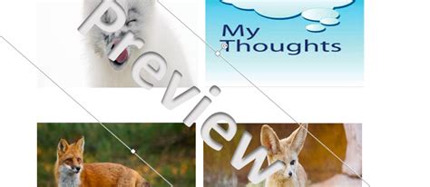 Evolution And Inheritance Science Lesson Five Adaptation Teaching