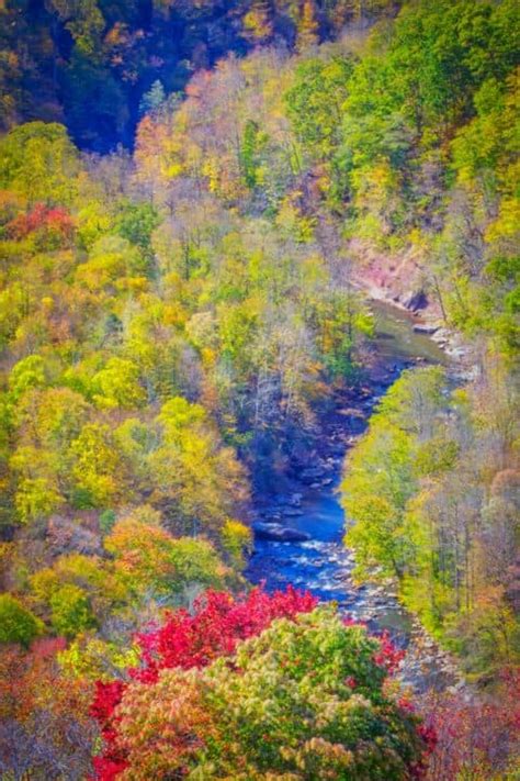Fabulous Fall Photo And Art Contest Corel Discovery Center