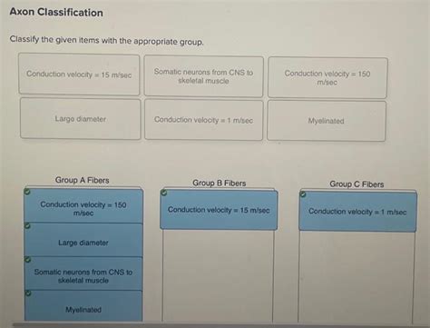 solved axon classification classify the given items with the