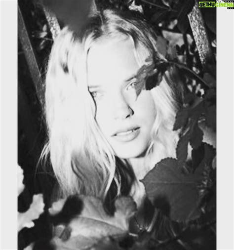 Gabriella Wilde Instagram Gethu Cinema