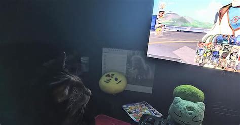 Null Loves Cyphers Trapwire Fidgeting Album On Imgur