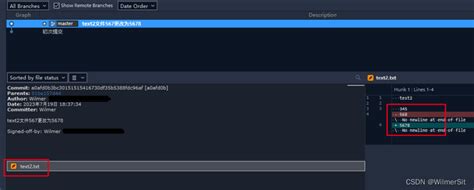 Sourcetree图文使用教程保姆级sourcetree使用教程 Csdn博客