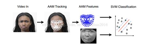 介绍ck数据库的论文翻译ck数据集 Csdn博客 介绍ck数据库的论文翻译ck数据集 Csdn博客