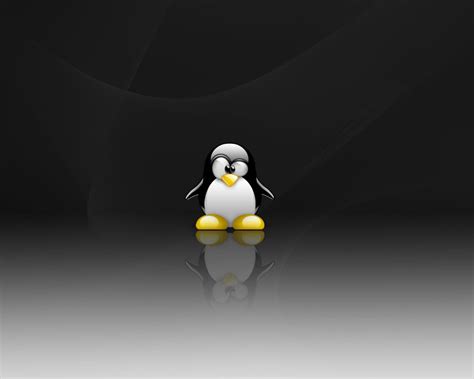 Linux Penguin Wallpapers Top Free Linux Penguin Backgrounds WallpaperAccess
