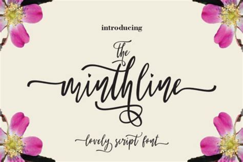 Handwritten Font Bundle Calligraphy Font Script Font Cricut Font Svg Cursive Font Procreate