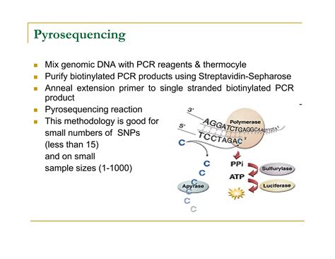 Snp Genotyping Technologies Pdf