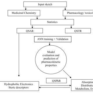 Diagram Showing The General Procedure For Molecular Modeling Download Scientific Diagram