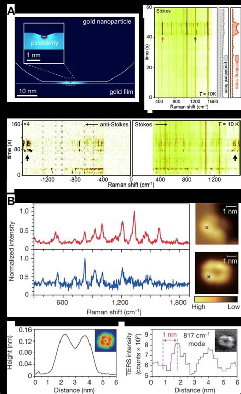 Single Molecule Sers And Ters Detection A Top Left Near Field Map