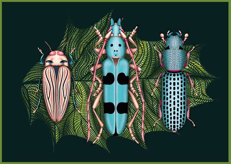 Beetles On Behance