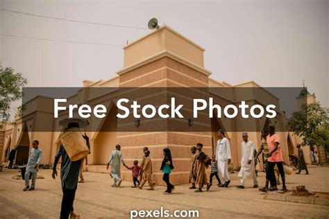 Microbial Community Structure Photos Download The Best Free Microbial Community Structure Stock