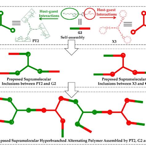 Graphical Representation Of The Formation Of Supramolecular Download Scientific Diagram