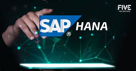 Sap Hana® Erp Validation