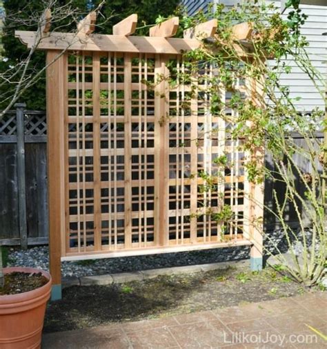 Beautiful Garden Trellis For Climbing Roses Or Vines Diy Garden
