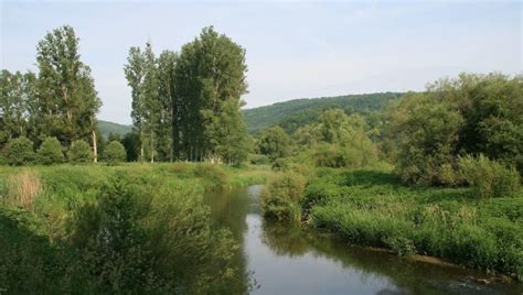 Nied River Water Temperature Current Values Trends Historical Data