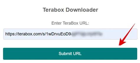 TeraBox Downloader | Direct Link Download Without Login