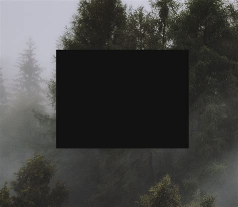 Cant Hide Window Decorations Through Qt5 · Issue 594 · Labwclabwc