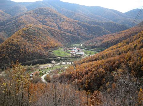 Kofesionalna Restitucija