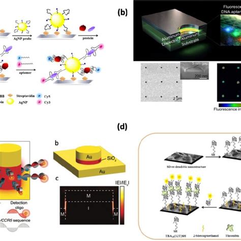 A Schematic Of Multiplexed Sandwich Aptamer System For The Detection