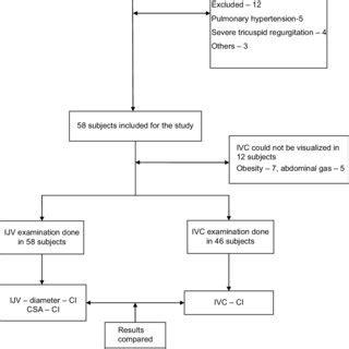 PDF IJV Collapsibility Index Vs IVC Collapsibility Index By Point Of Care Ultrasound For