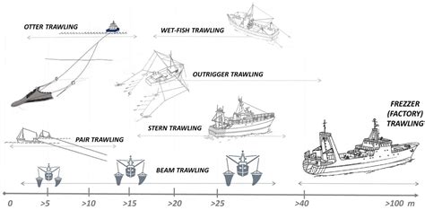 Beam Trawling Bycatch The Best Picture Of Beam