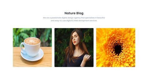 Bloglog Bootstrap 5 Blog Section Template By Shreethemes Codecanyon