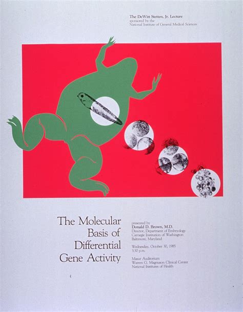 Molecular Basis Differential Gene Activitycollection Images Free