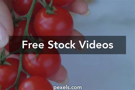 Lesbianseatingeachotherout Videos Download The Best Free 4k Stock