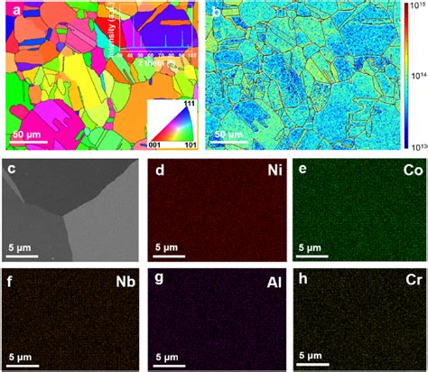 A Ebsd Ipf Map Showing The Fully Recrystallized Structure With