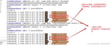 【云原生】docker网络原理及cgroup硬件资源占用控制 docker可以控制系统所占物理机的内核么 csdn博客