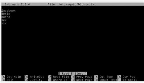 CARA INSTALL SQUID PROXY PADA DEBIAN 6 NETWORKING COMPUTERS