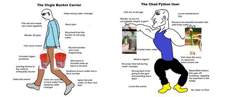 Virgin Bucket Carrier Vs Chad Python User Raquariummemes