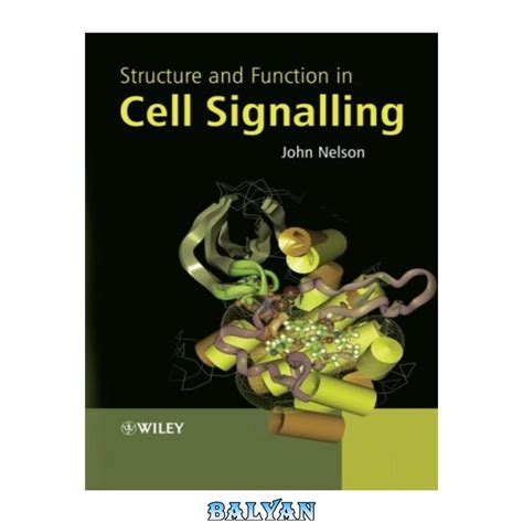 دانلود کتاب Structure And Function In Cell Signalling بلیان