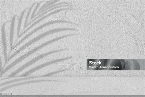 야자수 잎 그림자 시멘트 바닥에 빛 표면 질감 연단 디스플레이와 빈 회색 콘크리트 방 여름 제품 판매를위한 빈 배경 현재 0명에 대한 스톡 사진 및 기타 이미지 Istock