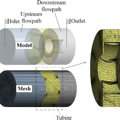 Grid Settings And Boundary Conditions For Turbine Regions Download Scientific Diagram