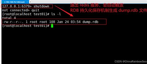 九 Redis 持久化 Rdb详细讲解说明，一个配置一个说明分析，步步讲解到位 Csdn博客