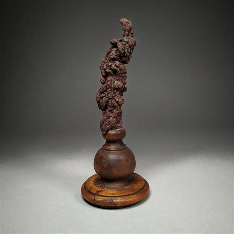 Fossilized Excrement Coprolite Mounted On Personal Catawiki