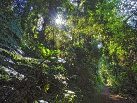 Fault Correction To Service Improvement