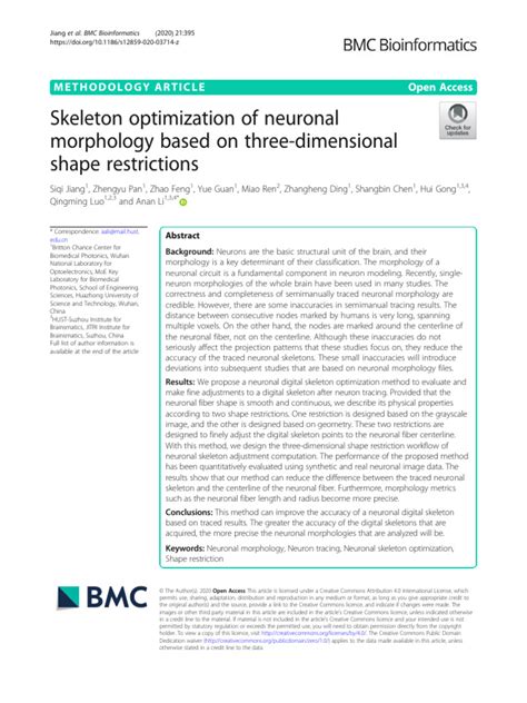 skeleton optimization of neuronal morphology based on three dimensional