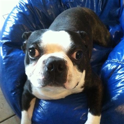 Cooper Murphy Youtube